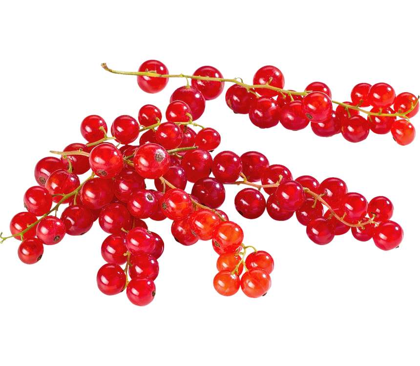 Akcia na Ríbezle červené za 1,79 €, Čerstvé ovocie a zelenina, Kvety v ...